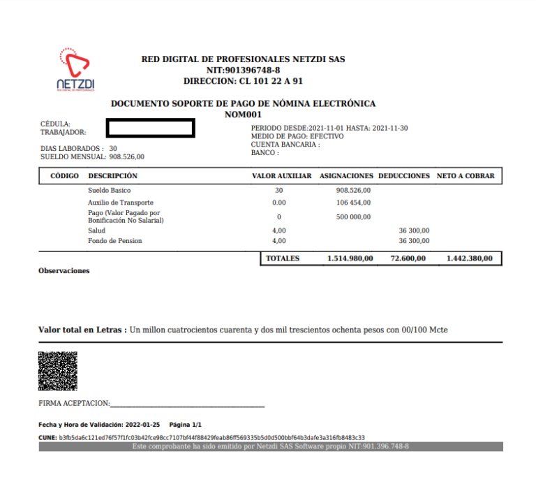 Nomina Electronica - Netzdi